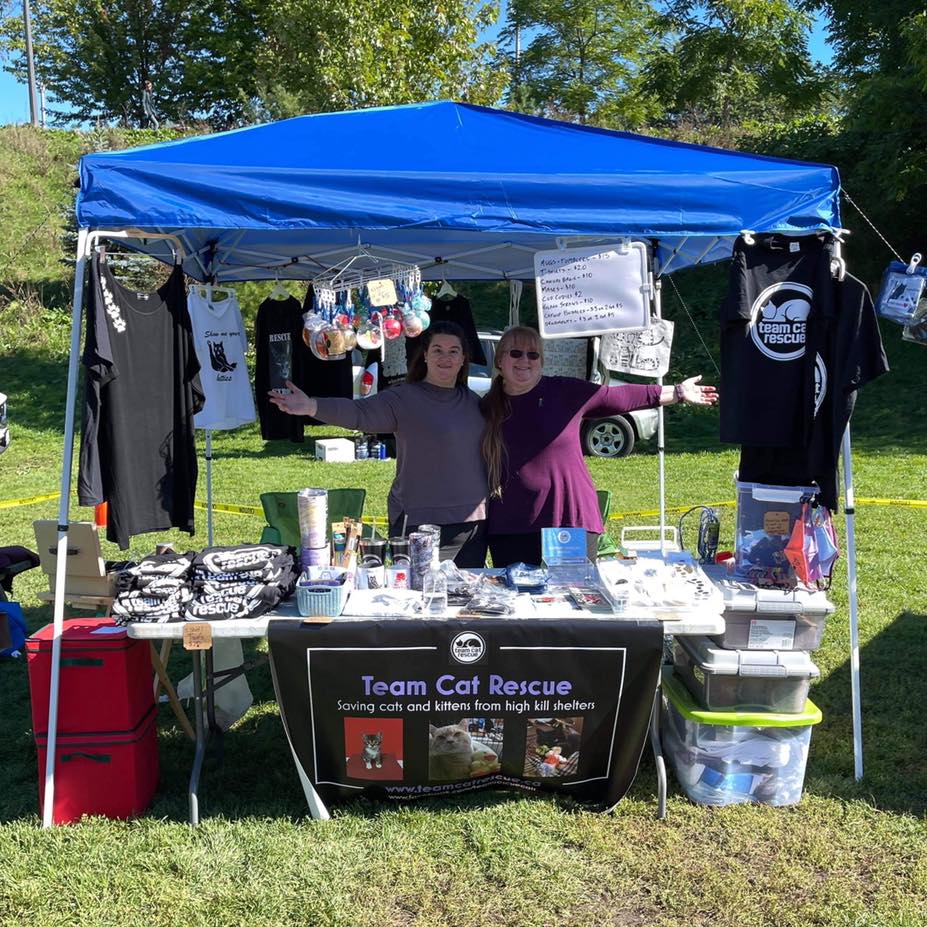 Team Cat Rescue – T.E.A.M. = Together Every Animal Matters